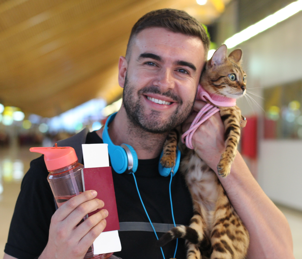 The Ultimate Guide to Pet Cargo & Air Freight for Dogs and Cats Animal ...